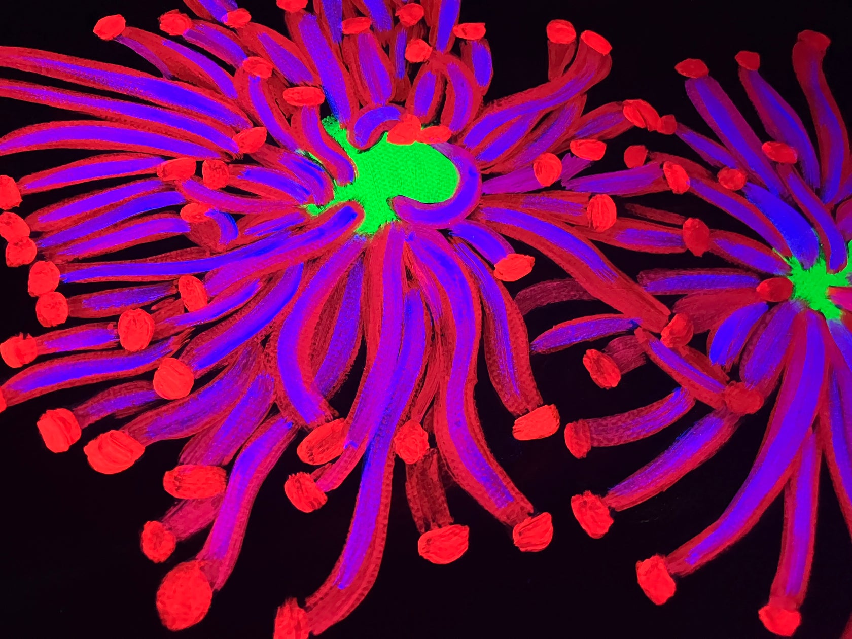 Malaysian torch joker painting – Kilaartsbykimberly